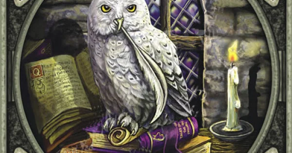 Lisa Parker produkter